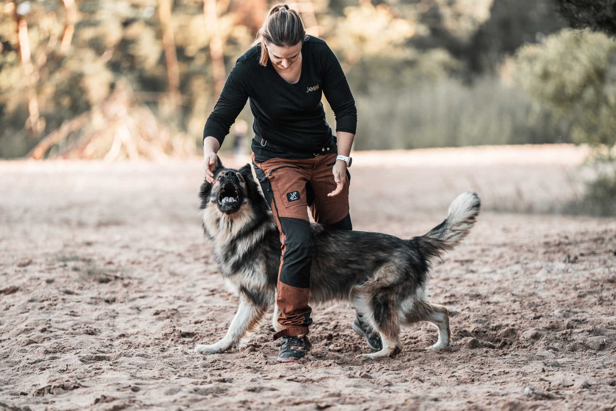 Professionelle Hundeschule und Hundetraining - mein Hund (...)